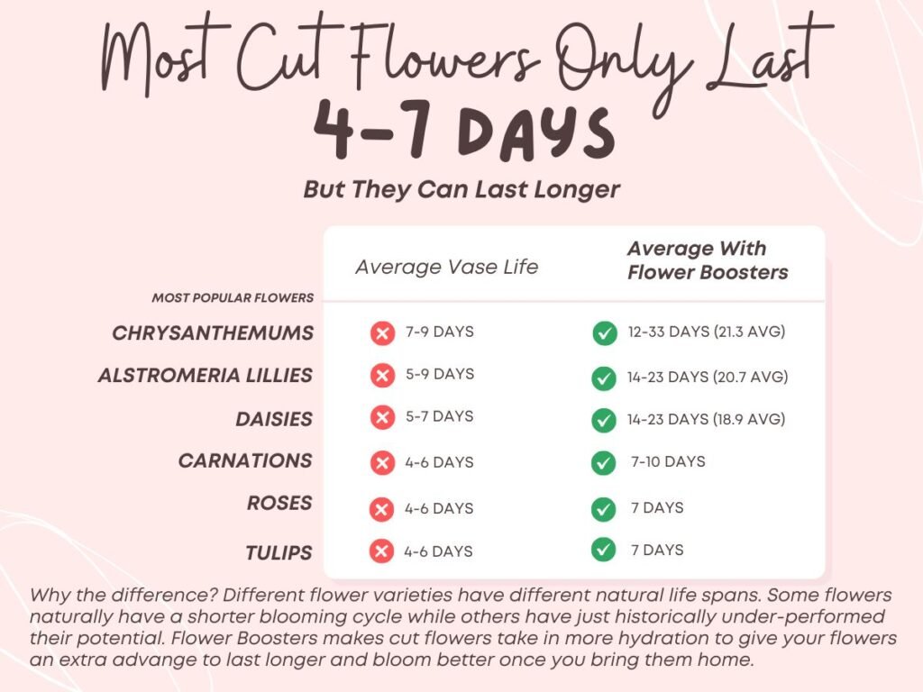 5 Steps: How To Make Cut Flowers Last Longer